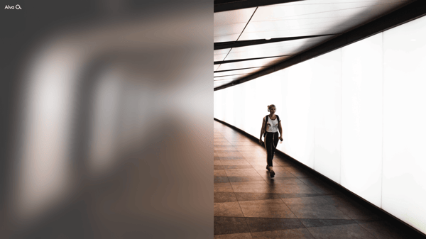 Features | Personality Test | Alva Labs