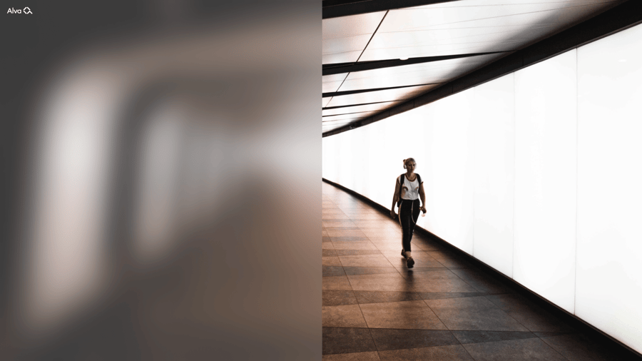 Features | Personality Test | Alva Labs